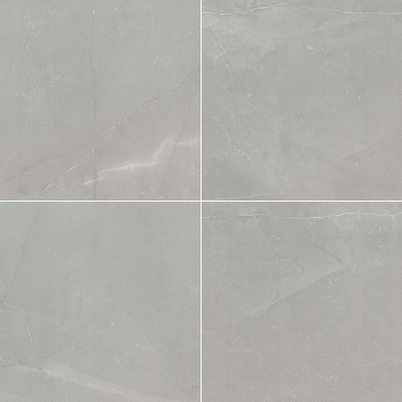 MSI- Sande Grey 24 x 24 Matte Rectified Porcelain Tile | Quality Floors ...
