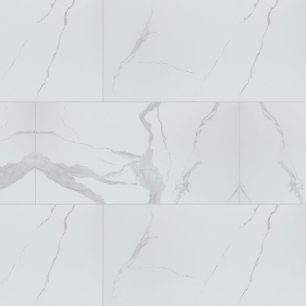 MSI- Eden Statuary 12x24 Polished Porcelain Tile | Quality Floors & More